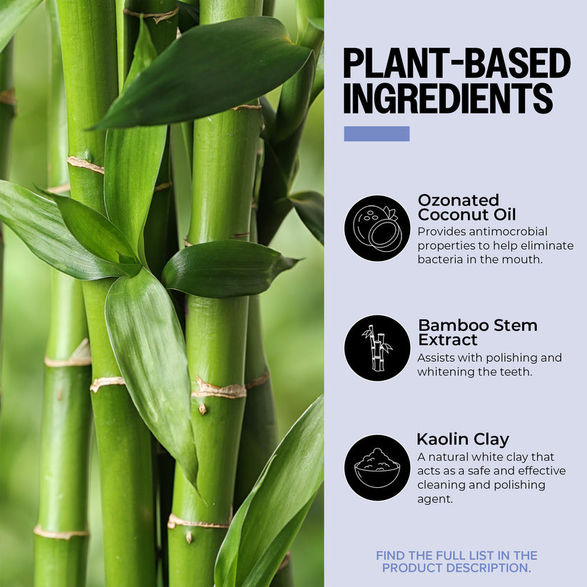 Ozone-Infused Tooth Cleaning Powder – PurO3